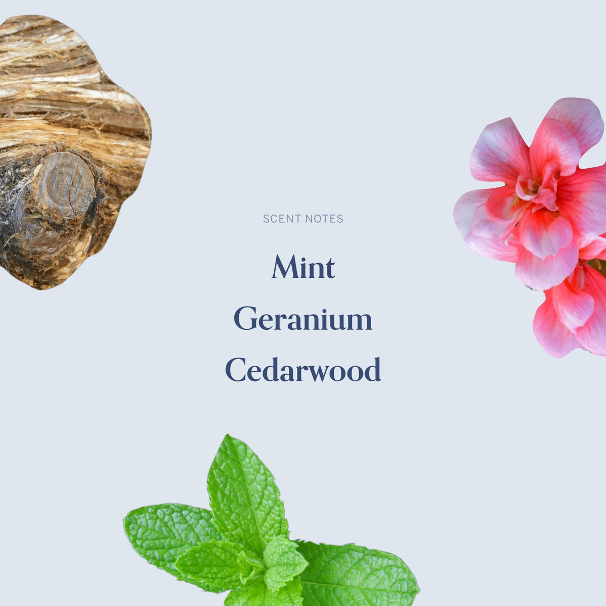 The April Eighteenth Birthday Candle – Birthdate Co.