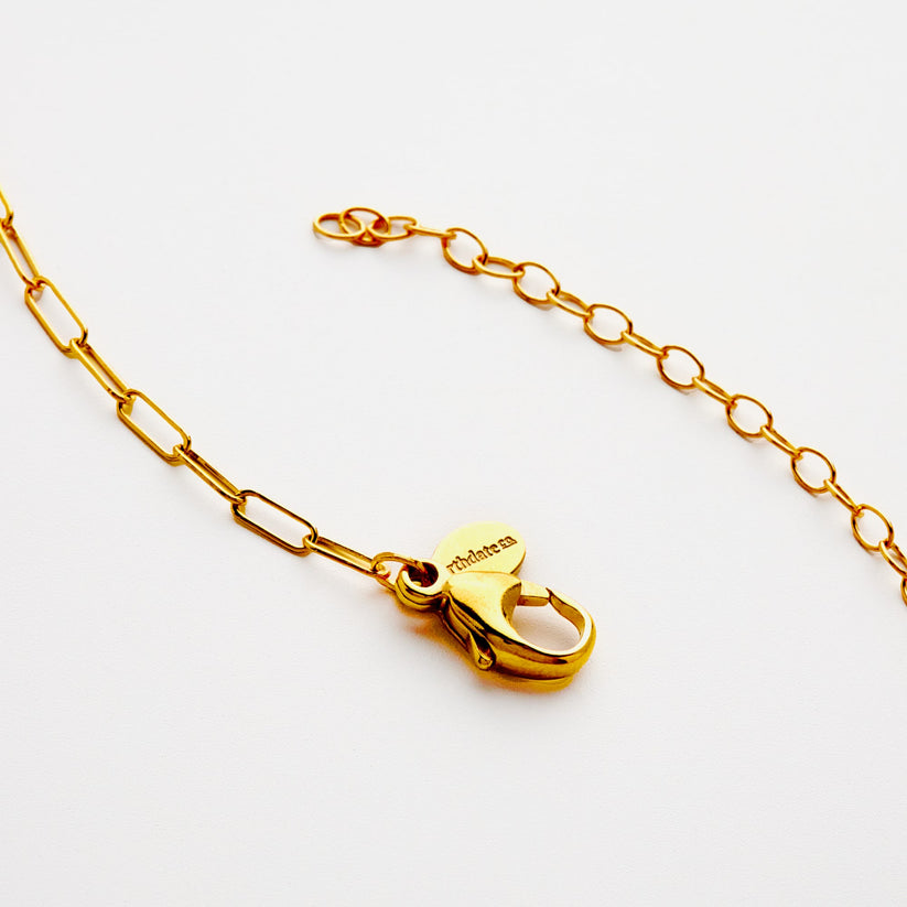 The January 13 Zodiac Pendant Necklace – Birthdate Co.