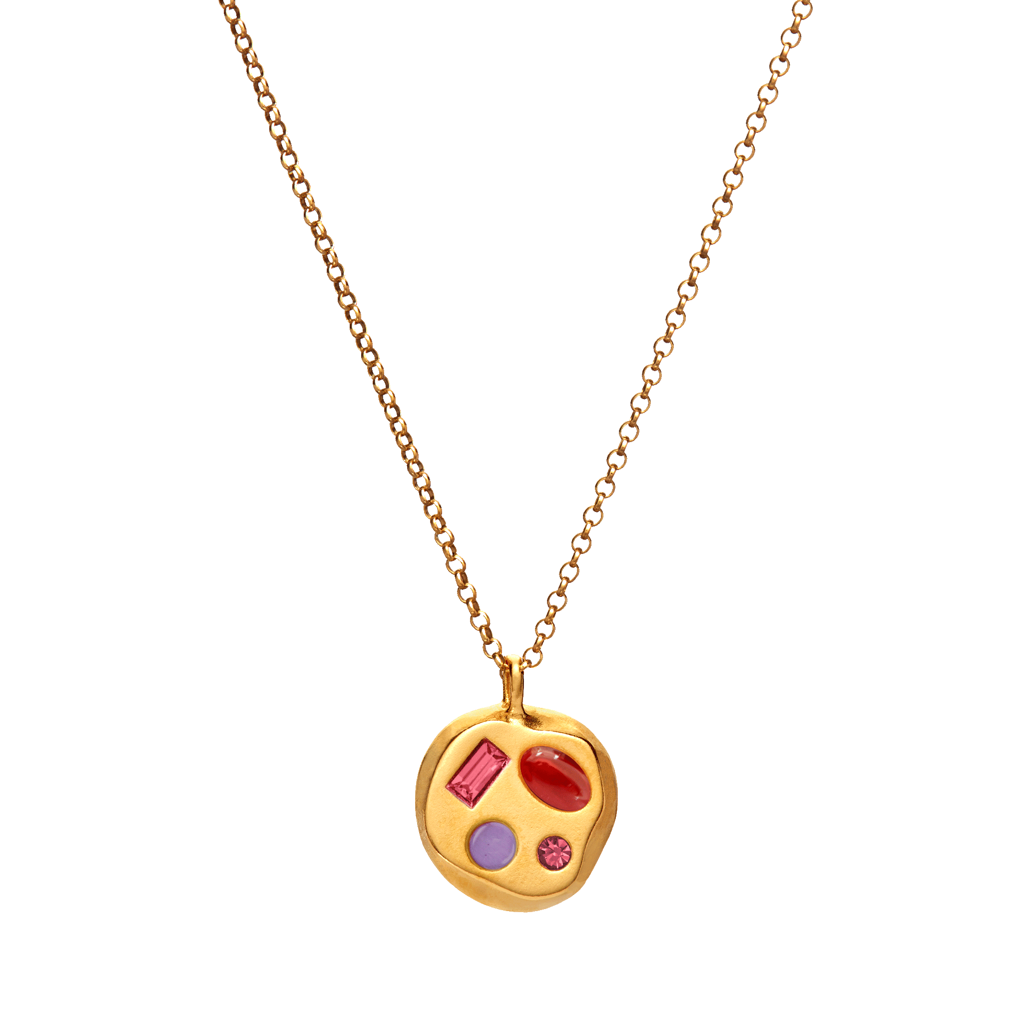 The January 24 Zodiac Pendant Necklace – Birthdate Co.