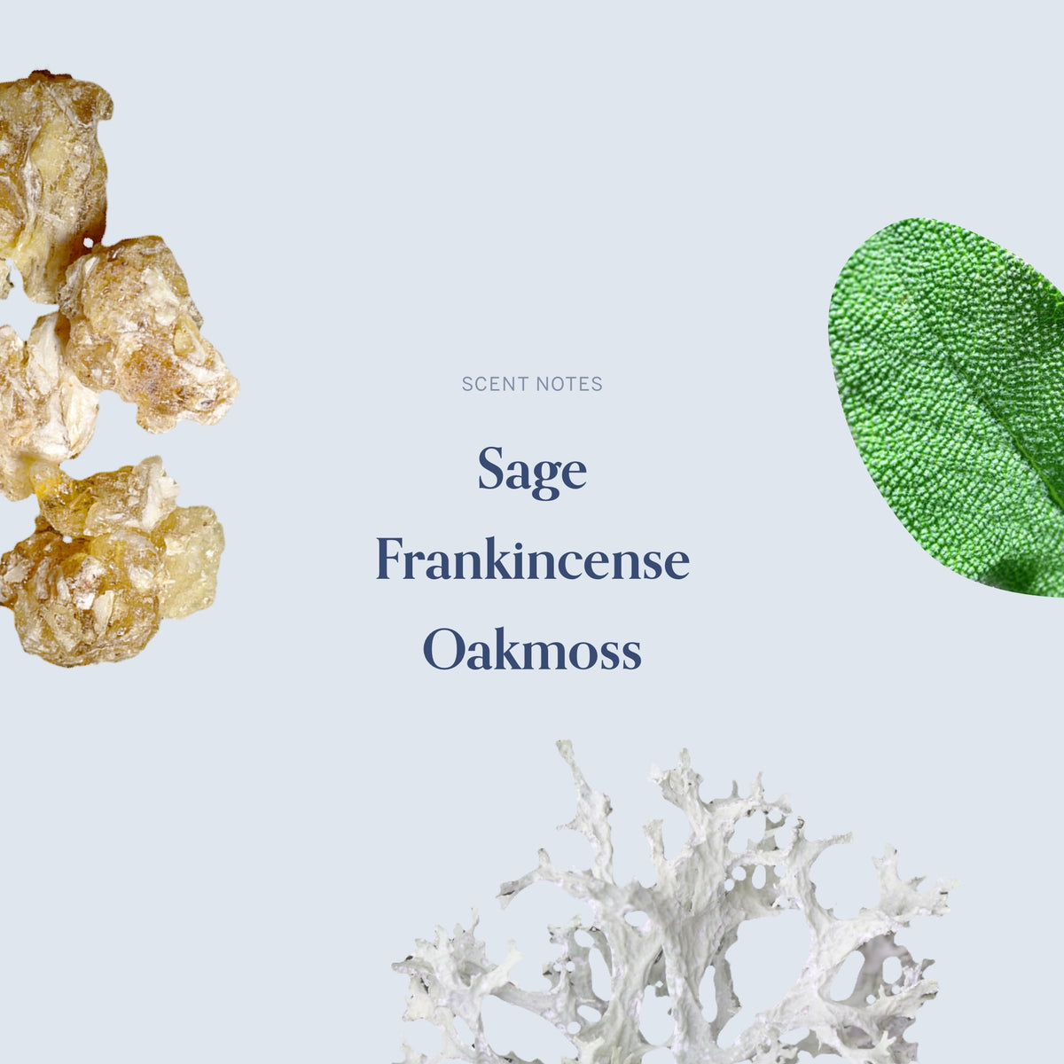 The January Fourth Birthday Candle – Birthdate Co.