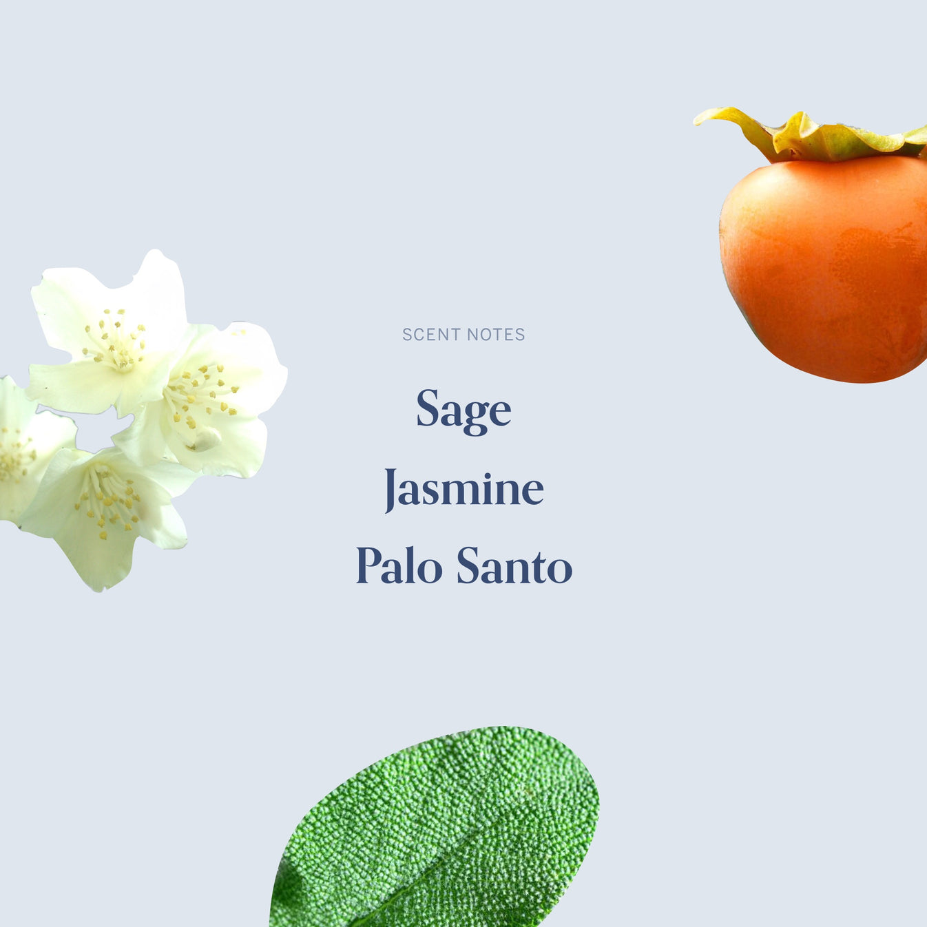 The August Twenty-Fourth Birthday Candle – Birthdate Co.